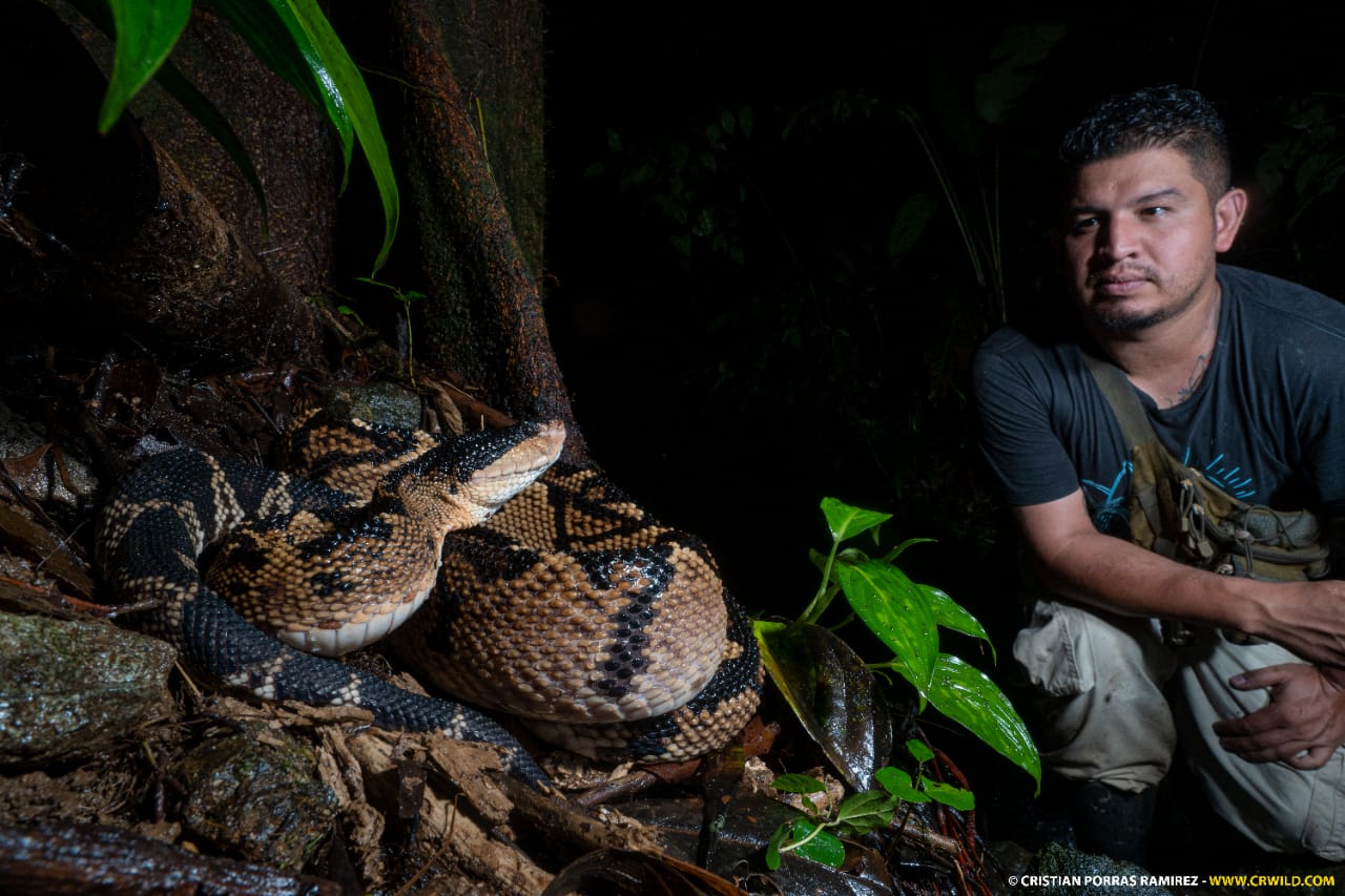 COSTA RICA HERPING ADVENTURE - ecoterraadventures.com