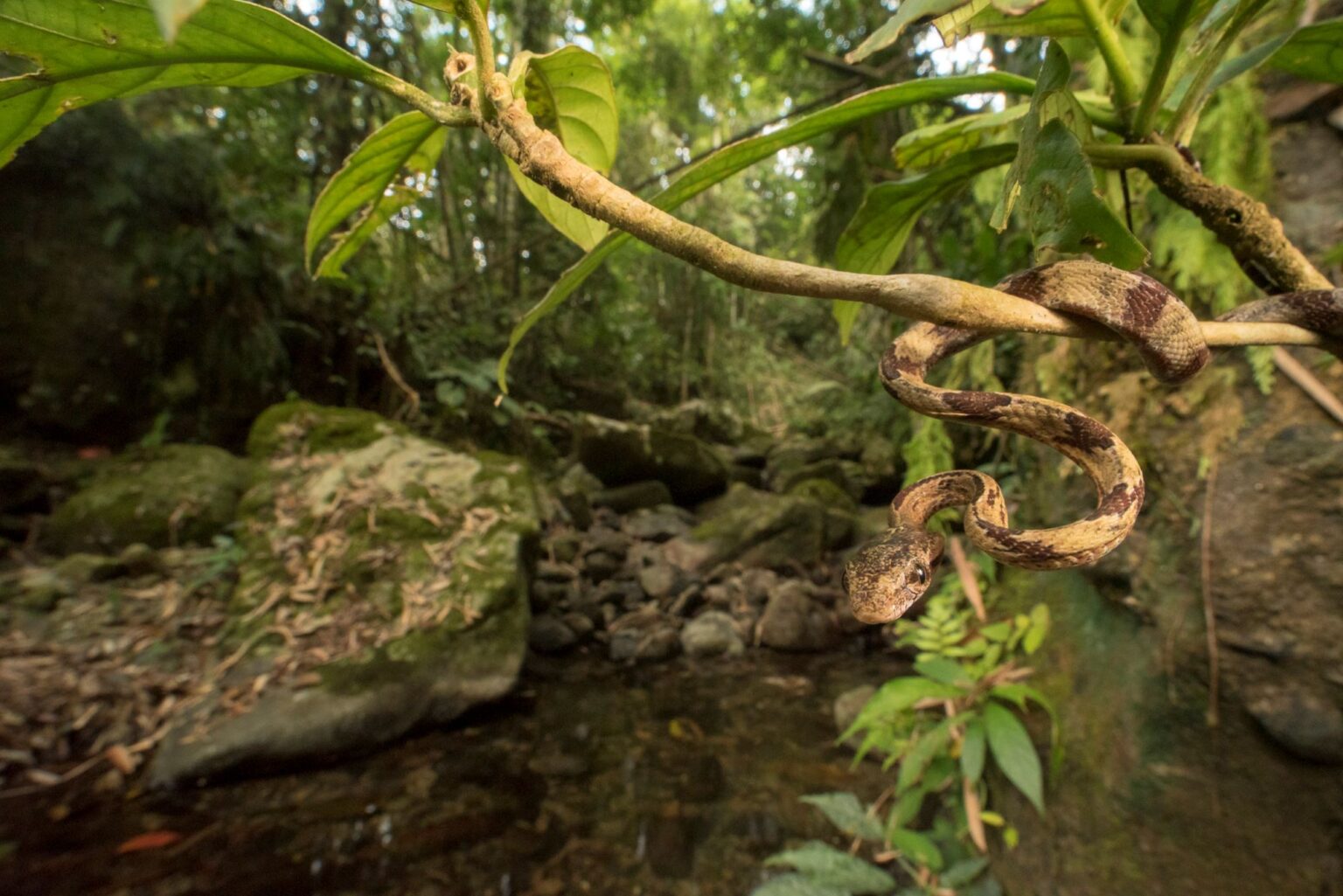 THE ART OF MACRO PHOTOGRAPHY TOUR - ecoterraadventures.com
